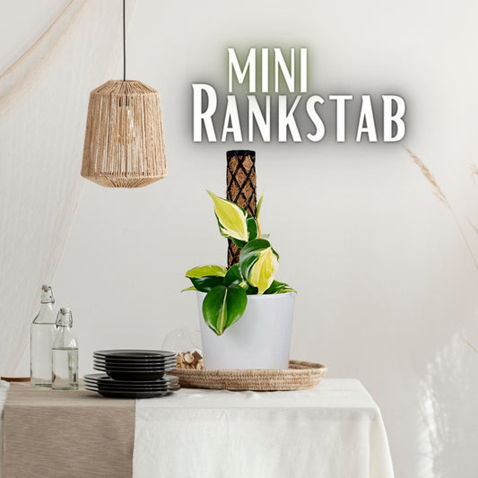 Muddis Zubehör – tagged "zubehör" – Muddis Erde